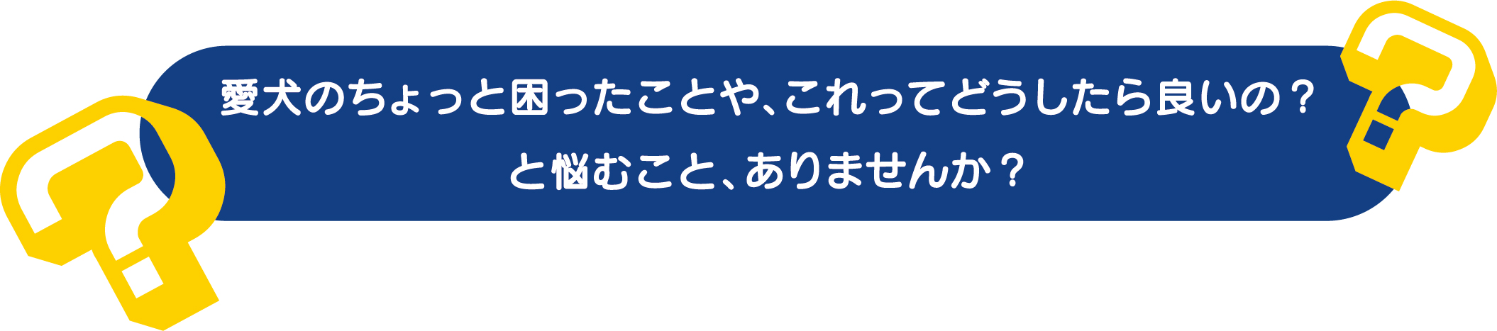 High Four Five – JDBA認定ドッグトレーナー